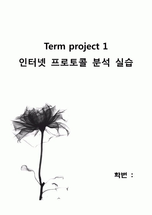 인터넷 프로토콜 분석 실습