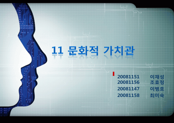 문화적가치관,하위문화의 영향과 연령 동세대 집단 (소비자행동론)