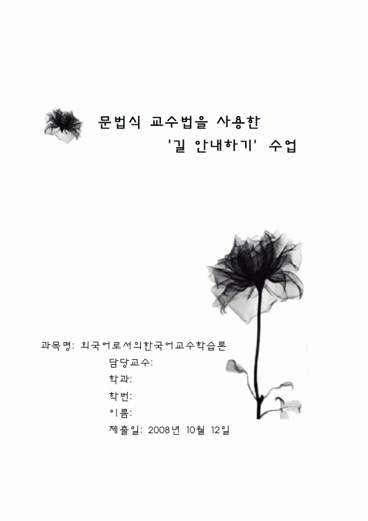 문법식 교수법을 이용한 외국어로서의 한국어 수업안