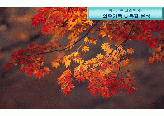 의무기록관리학(의무기록내용과 분석내용)