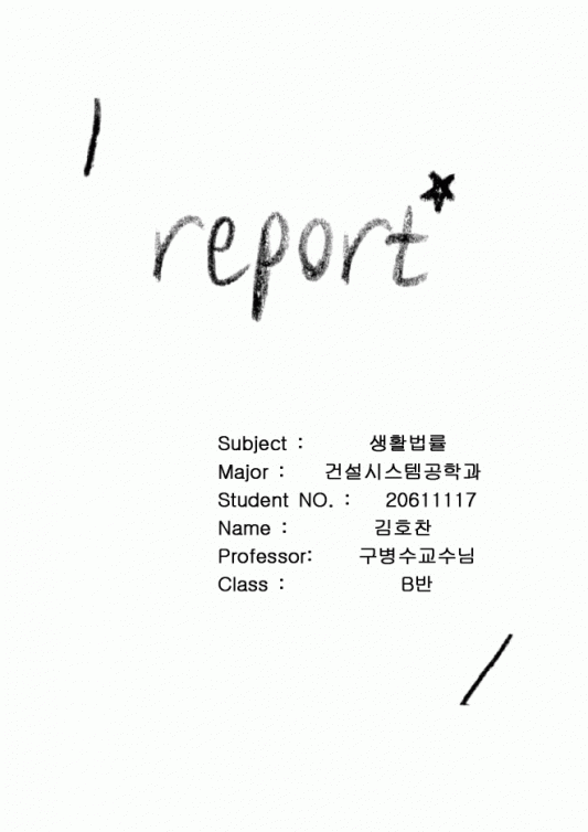 [공학/컴퓨터/통신] 상가임대차보호법 문제점