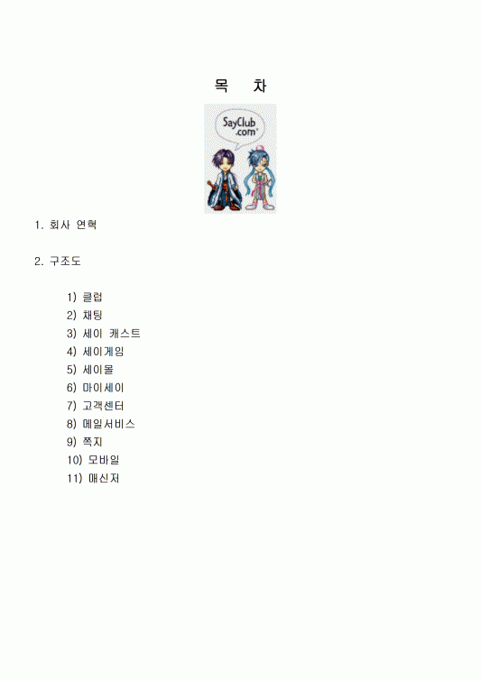 세이클럽(sayclub) 마케팅 경영전략 분석