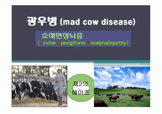 광우병에대하여