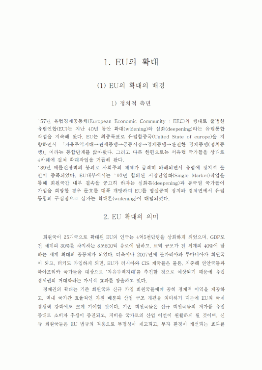 EU의 전망과 한계