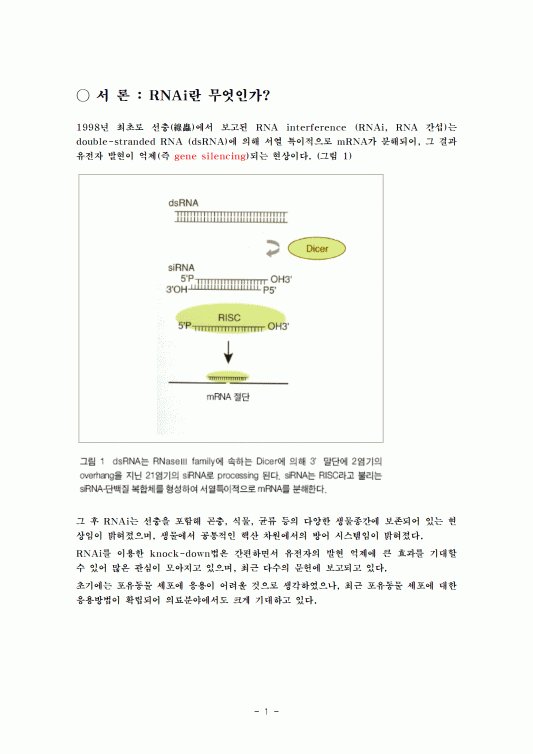 RNAi에 대해서 레포트 자료