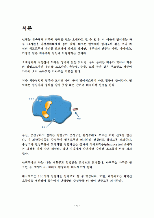 HIV / AIDS 레포트 자료