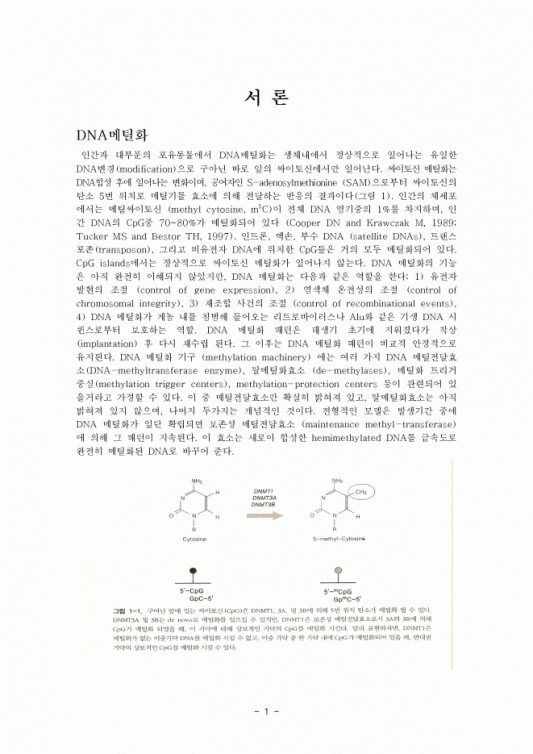 DNA의 메틸화 레포트 자료