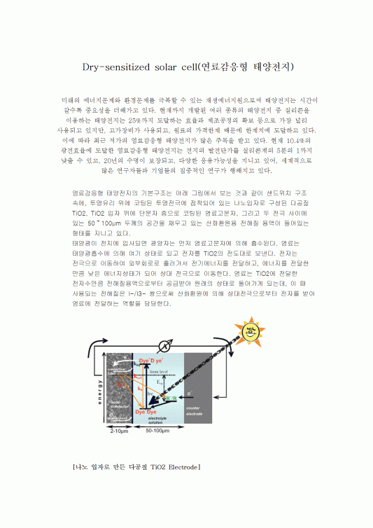 Dry-sensitized solar cell(연료감응형 태양전지)