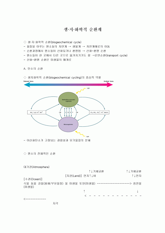 물질 순환, 물질의 화학 순환계(탄소순환,인순환,질소순환,황순환,철순환 등)
