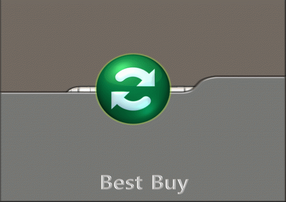 Best Buy Survey 레포트 자료