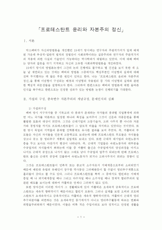 프로테스탄트 윤리와 자본주의 정신