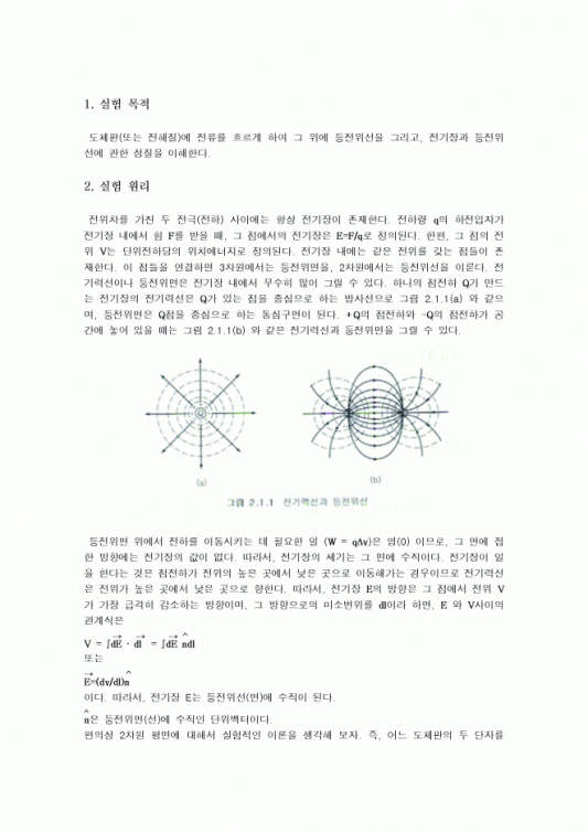 등전위선 실험 예비,결과 보고서