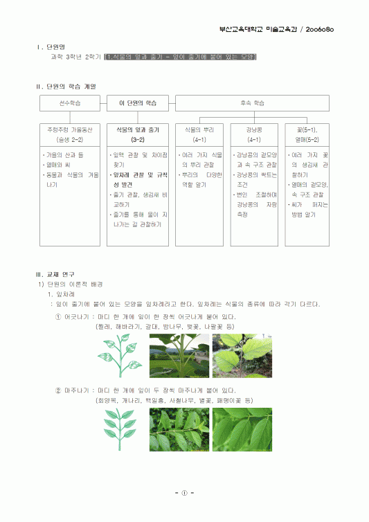 초등과학수업안 3학년 2학기 `1.식물의 잎과 줄기`