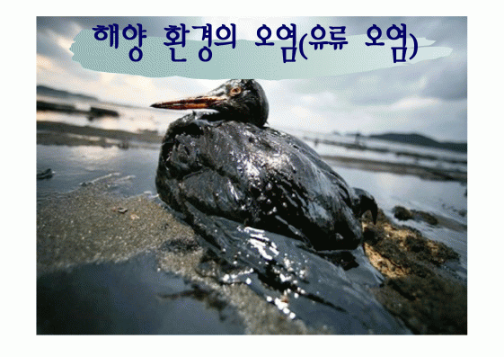해양 환경오염의 원인과 피해에 대하여(특히, 유류 오염)