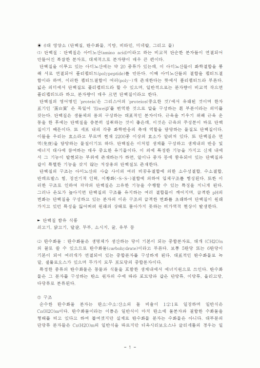 6대 영양소 레포트 자료