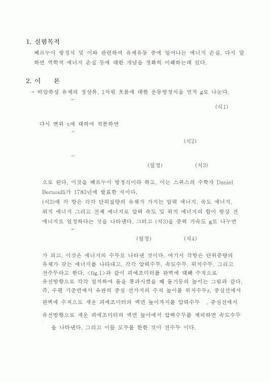 베르누이 방정식과 유체 영동
