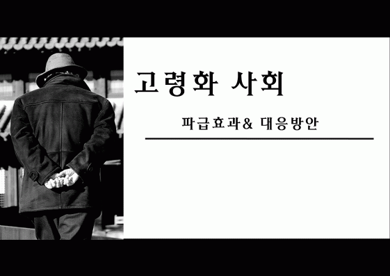 고령화사회의 파급효과 및 대응방안