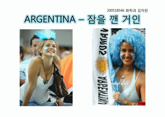 아르헨티나 와인 산업