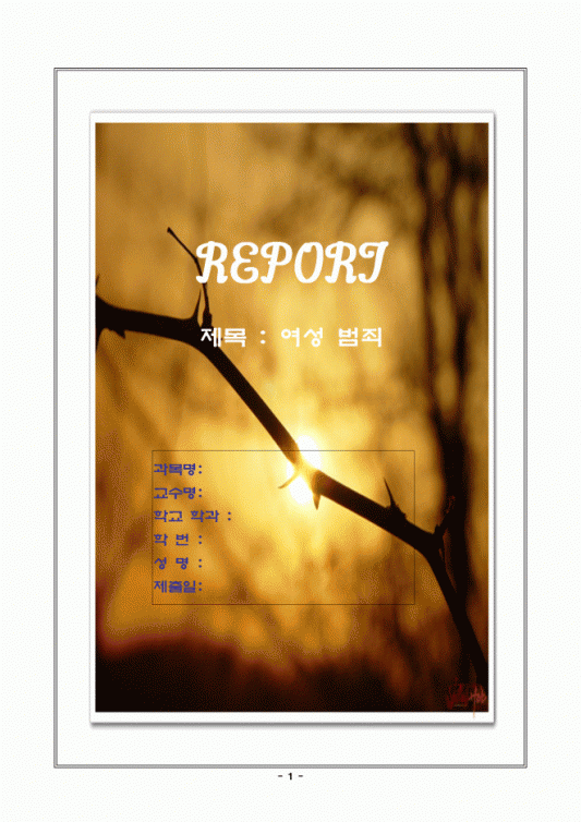 여성범죄의 실태와 효과적 대응방안 그리고 고찰