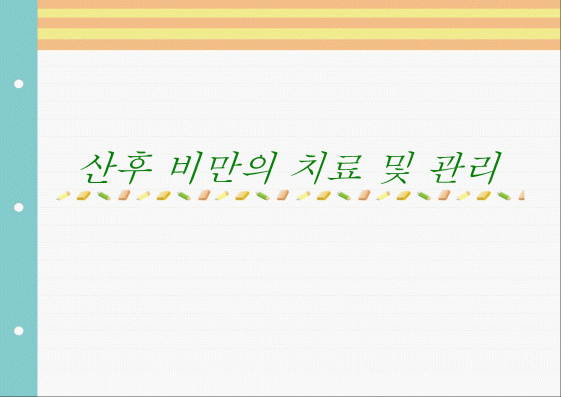 임산부(산후비만대책)