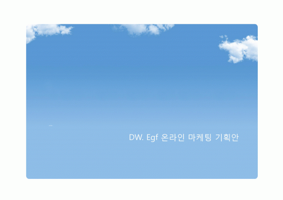 온라인마케팅 기획안