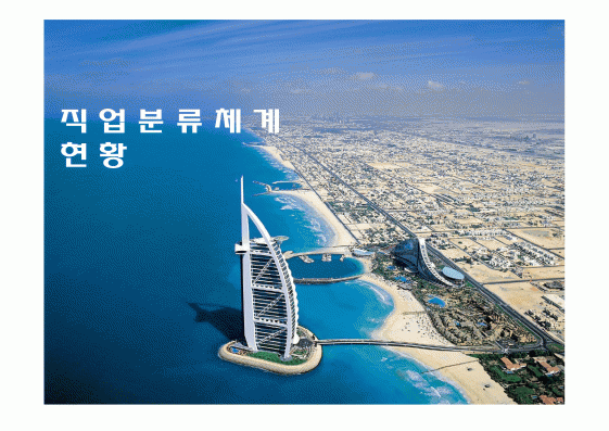 직업 분류체계 현황