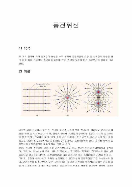 등전위(실험보고서)