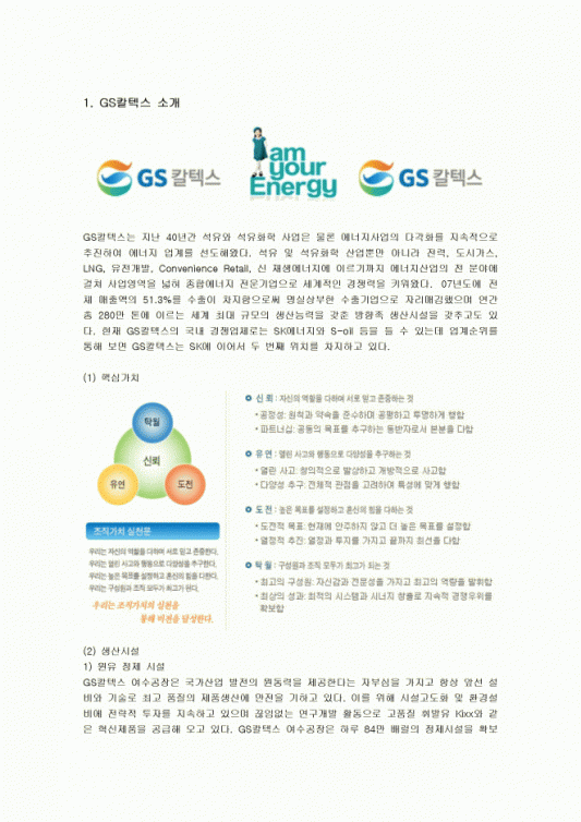 GS칼텍스의 6시그마 분석