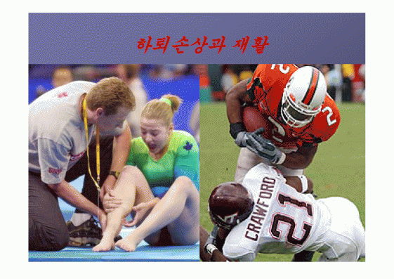 하퇴손상의 재활