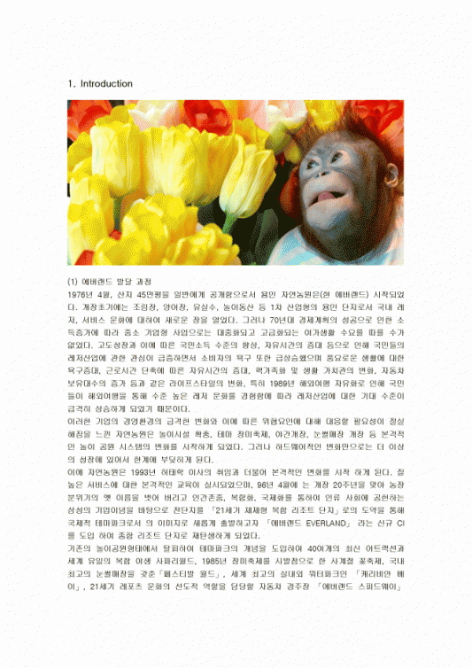 에버랜드의 서비스 마케팅 전략