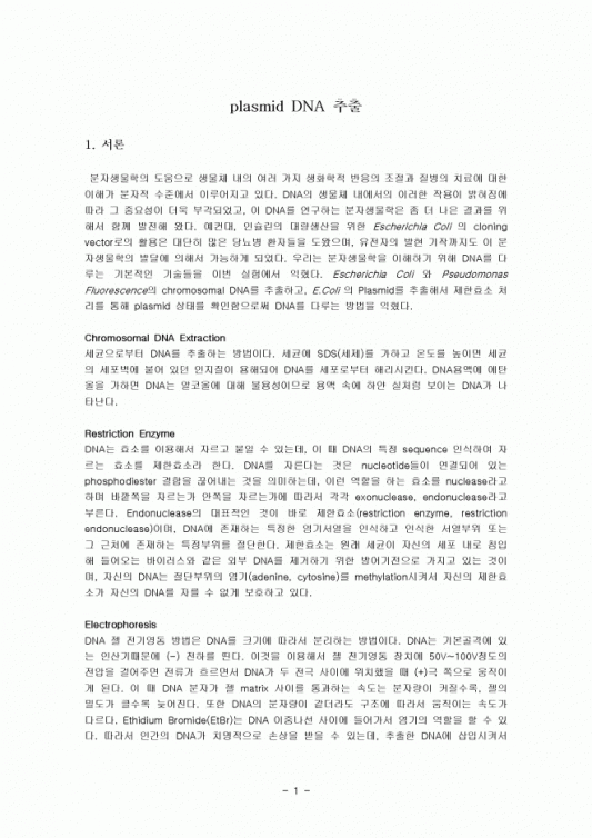 생물] plasmid DNA 추출 보고서