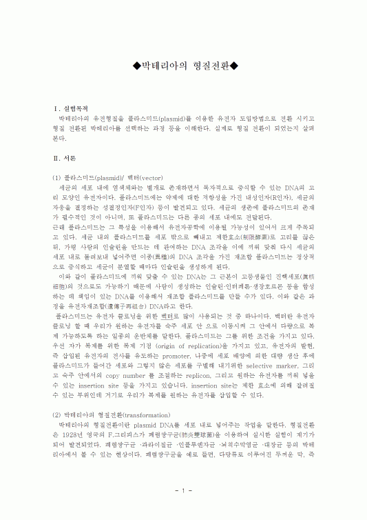 생물] 박테리아 형질전환 보고서
