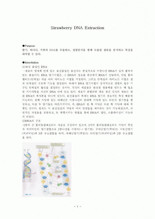 [생물] 딸기 DNA 추출 보고서  (Strawberry DNA Extraction)