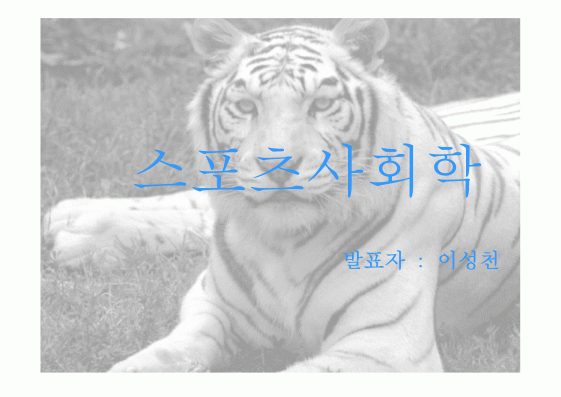 놀이,게임,스포츠