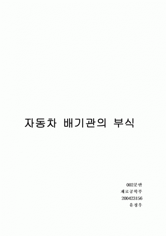 자동차 배기관 부식 보고서