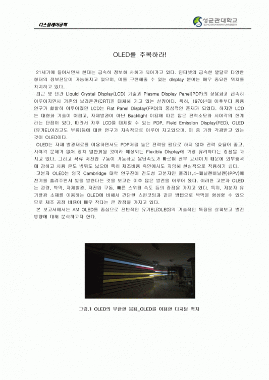 OLED의 개요, 핵심기술, 기술개발 동향, 개선점 및 관련특허분석, 시장분석