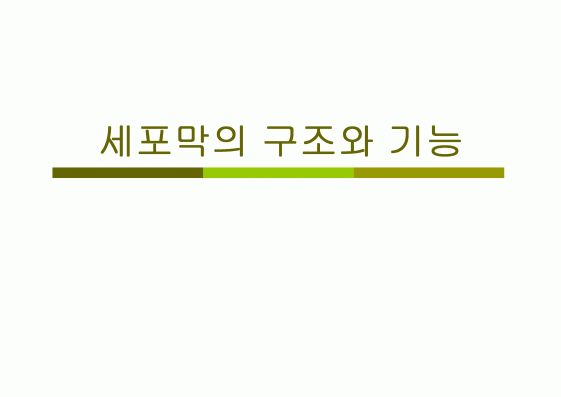 세포막의 구조와 기능