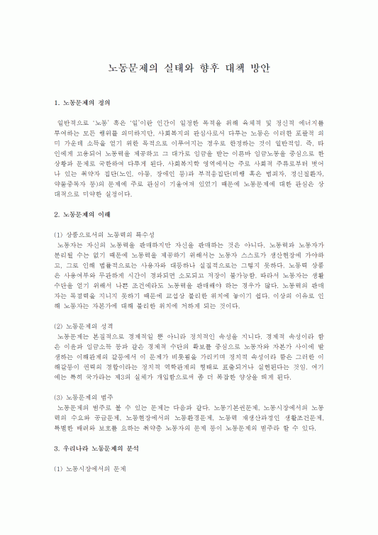 노동문제의 실태와 향후 대책 방안