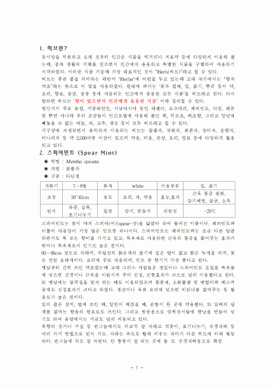허브 스피어민트 관찰