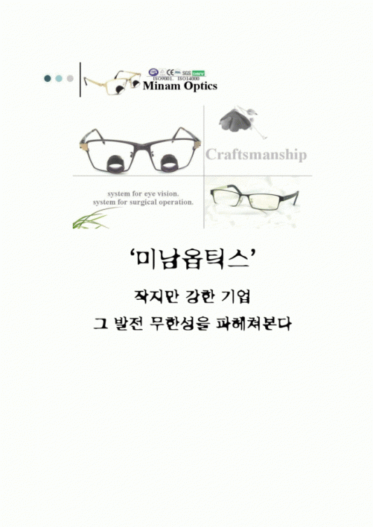 중소기업의 국제 (해외) 마케팅 성공 사례 - 미남옵티스