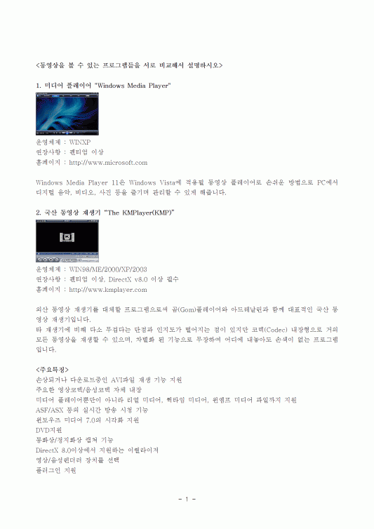 동영상을 볼 수 있는 프로그램들을 서로 비교해서 설명하시오