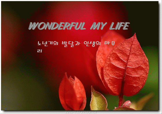 [인간행동과 사회환경]노년기의 발달과 인생의 마무리 ppt