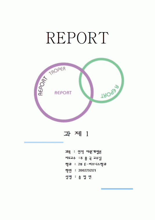 [인적자원개발론]부산인적자원개발원 조사 및 인터뷰 외 hrd 실무 전문가 분석및 인터뷰