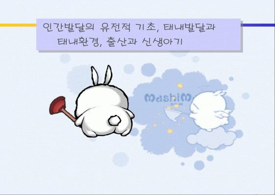 [인간행동과 사회환경]인간발달의 유전적 기초, 태내발달과 태내환경, 출산과 신생아기 시기에 대한 이론과  발달단계 ppt