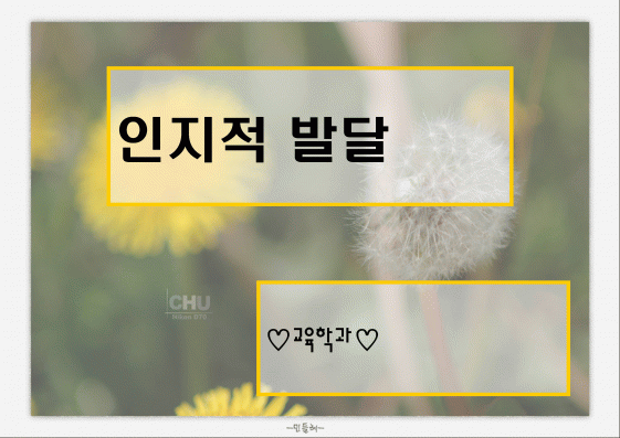 [청소년교육개론]청소년 인지적 발달