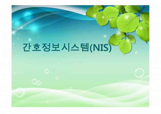 간호정보시스템(NIS)