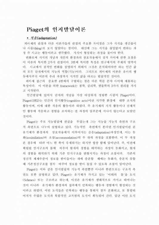 피아제 인지발달 이론
