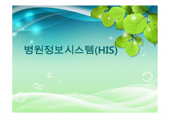 병원정보시스템(HIS)