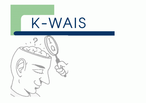 K-WAIS 지능검사