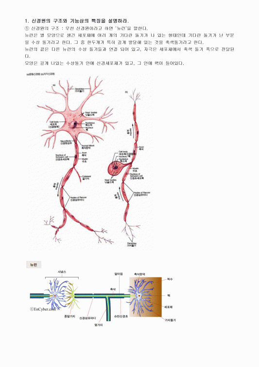 정신간호학-정신생리계